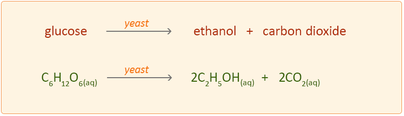 Fermentation Of Glucose Equation DarwinanceGallagher